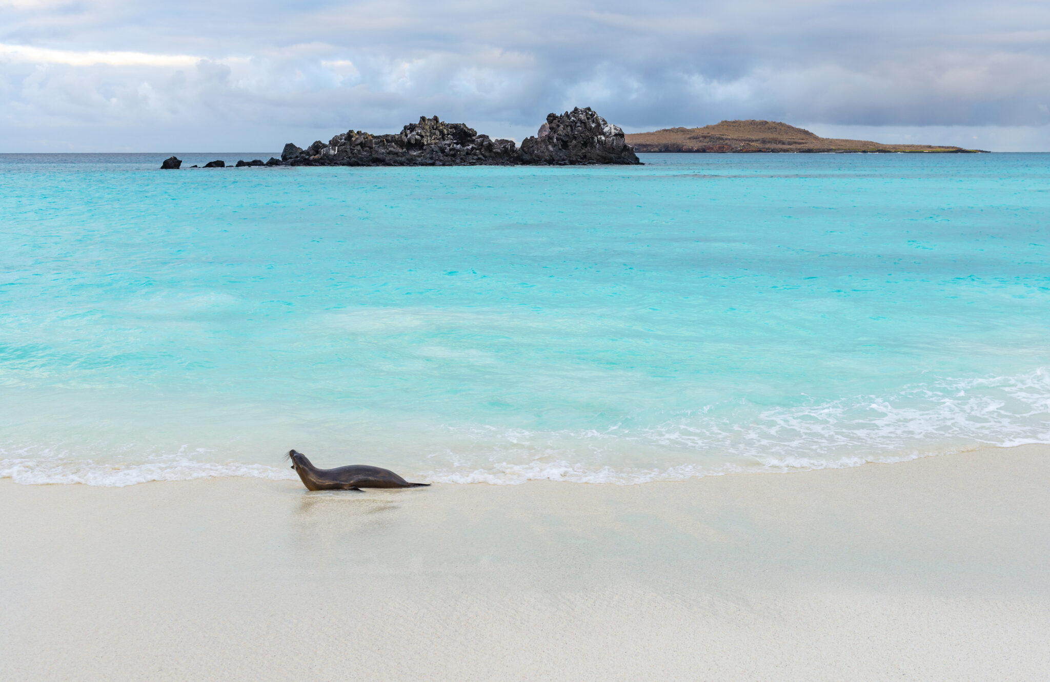 The Best of the Galápagos Islands