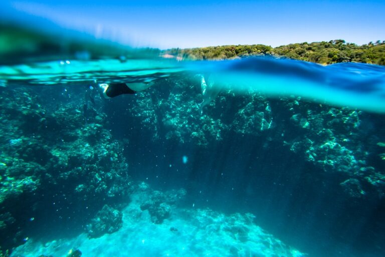 Ultimate Underwater Experiences in Honduras
